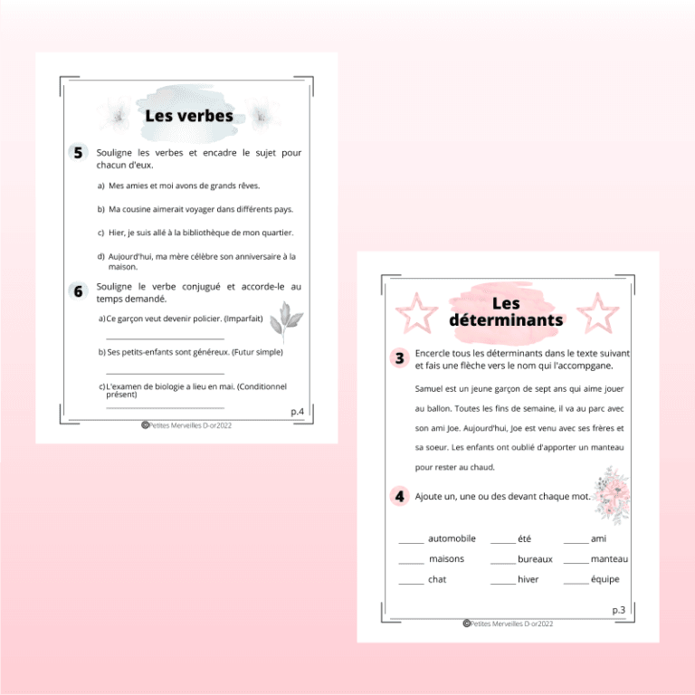 Révision grammaire 3e et 4e année - Cahier d'exercices 2e cycle