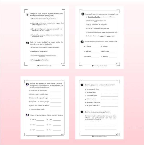 Révision grammaire 5e et 6e année - cahier d'exercices 3e cycle