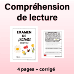 Compréhension de lecture 1re et 2e année - Cahier de textes