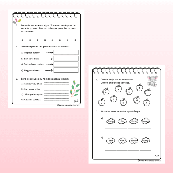 Révision grammaire 1re et 2e année- Cahier d'exercices 1er cycle