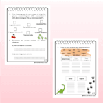 Révision grammaire 1re et 2e année- Cahier d'exercices 1er cycle