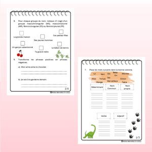 Révision grammaire 1re et 2e année- Cahier d'exercices 1er cycle