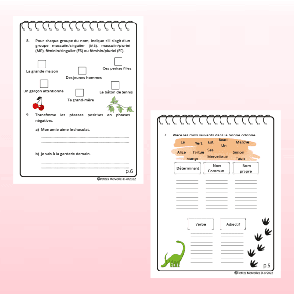 Révision grammaire 1re et 2e année- Cahier d'exercices 1er cycle