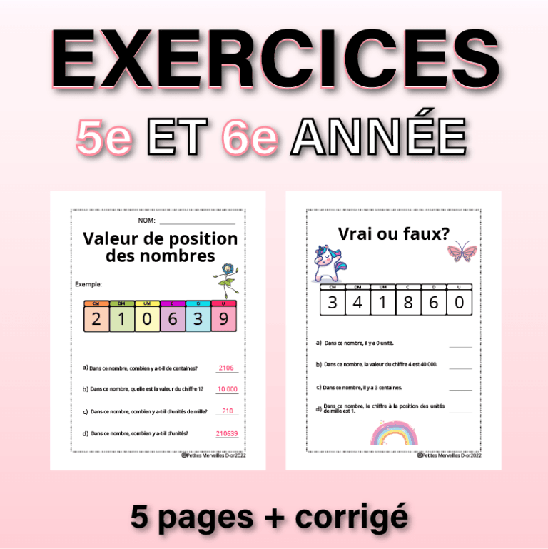Valeur de position des nombres 1er cycle - Cahier d'exercices